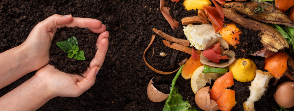 Organic Waste Recycling - City of San Diego